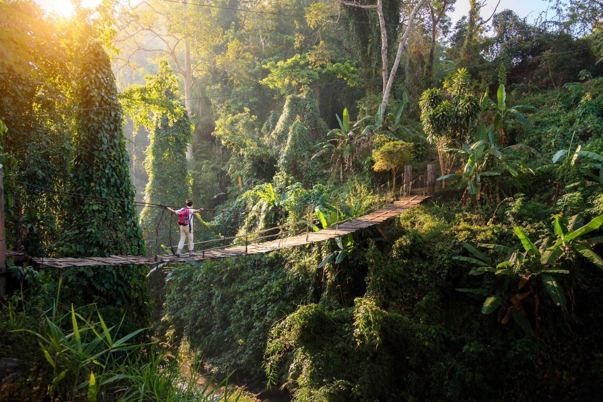Sustainable + Ecotourism - Charlotte Travel